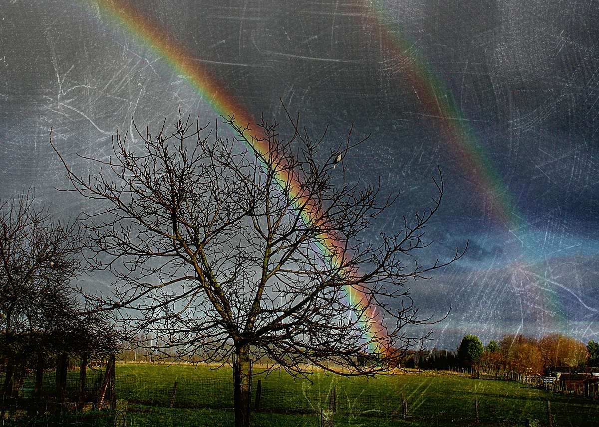'Double Rainbow' Poster, picture, metal print, paint by Mieke ...