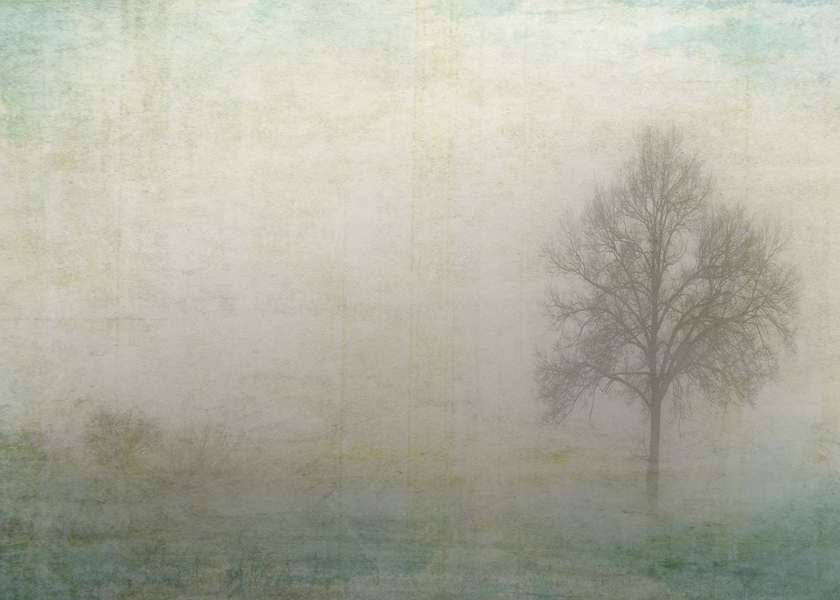 'Misty Morning' Poster, picture, metal print, paint by aRT sKRATCHES ...