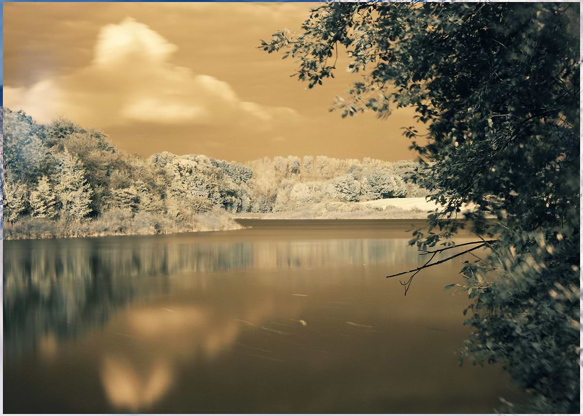 'Infrared photography I' Poster, picture, metal print, paint by Jaroush ...
