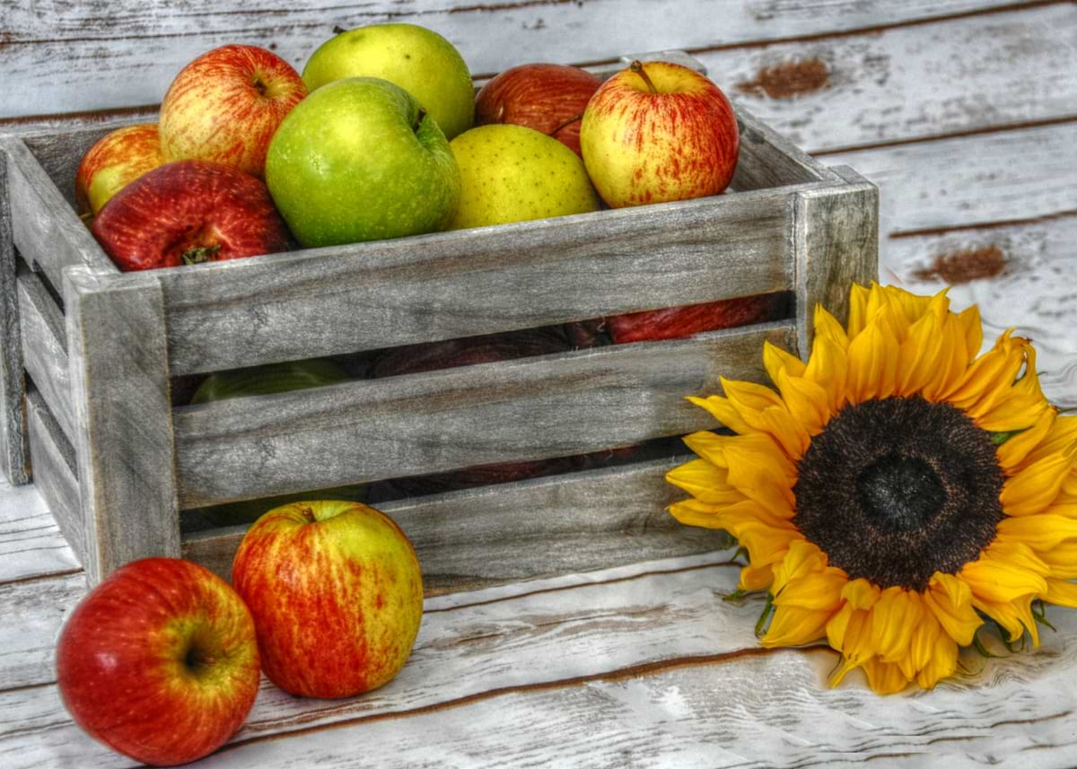 'sunflower and apples' Poster, picture, metal print, paint by sue ...