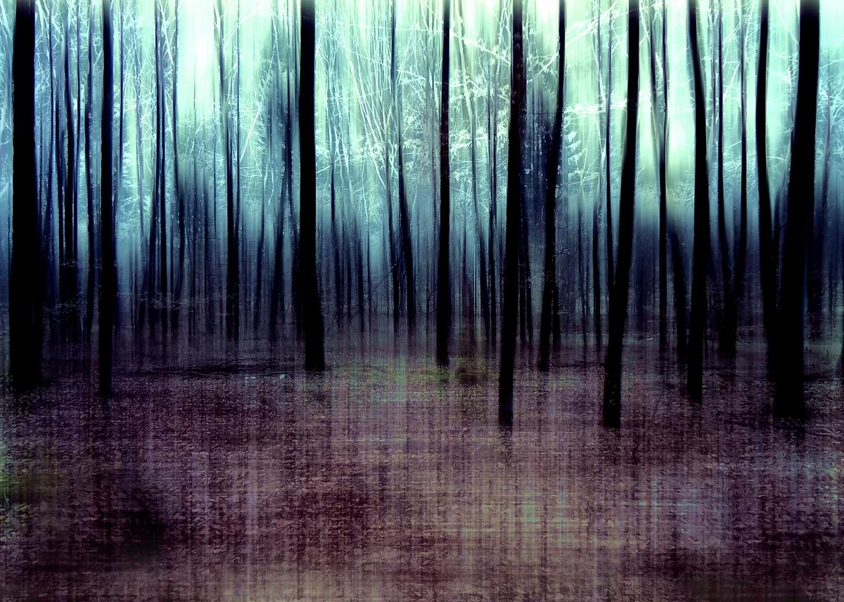 'Chestiness Photograph 2013 ' Poster, picture, metal print, paint by ...