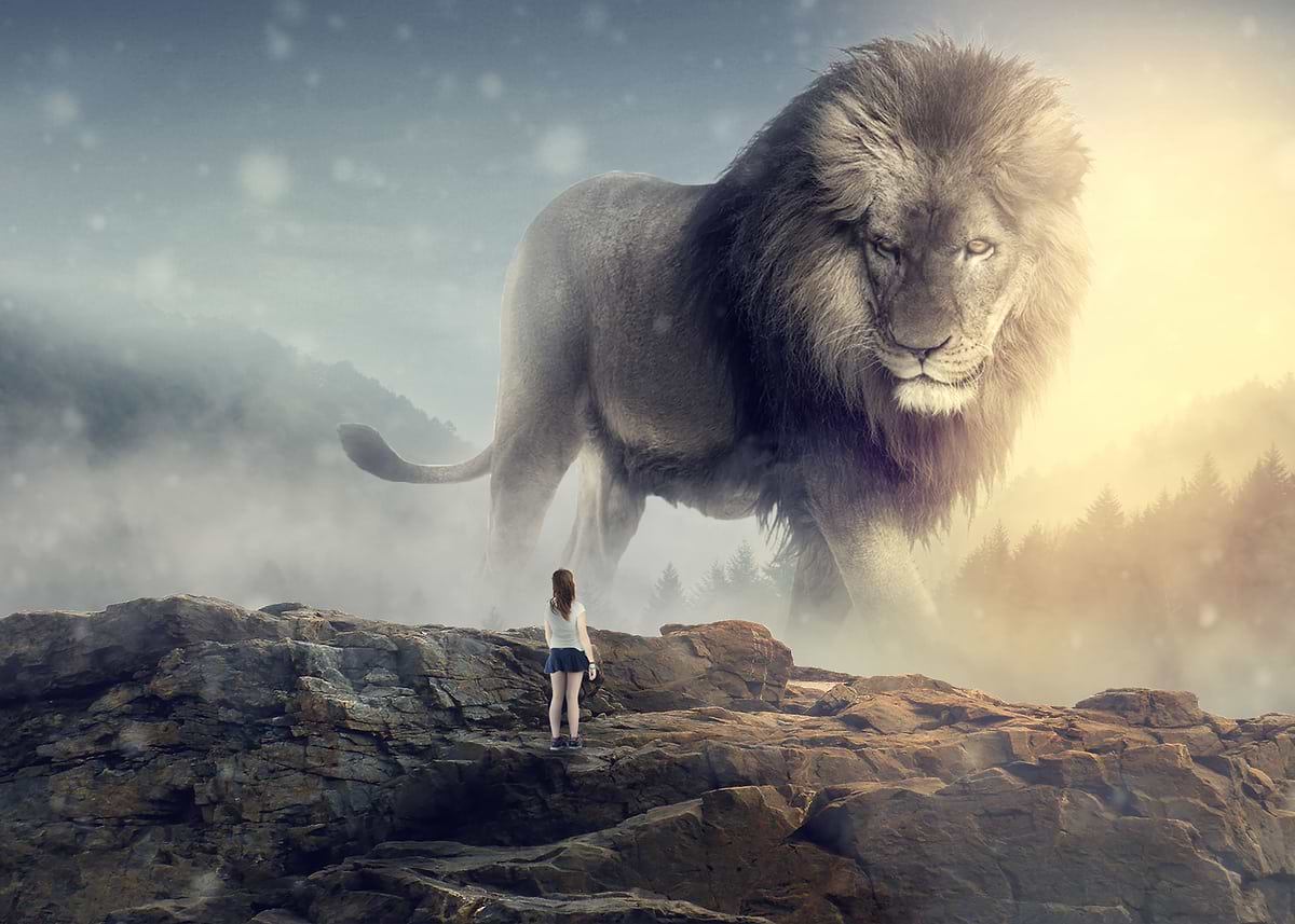 'King of the jungle' Poster, picture, metal print, paint by Hamouda ...