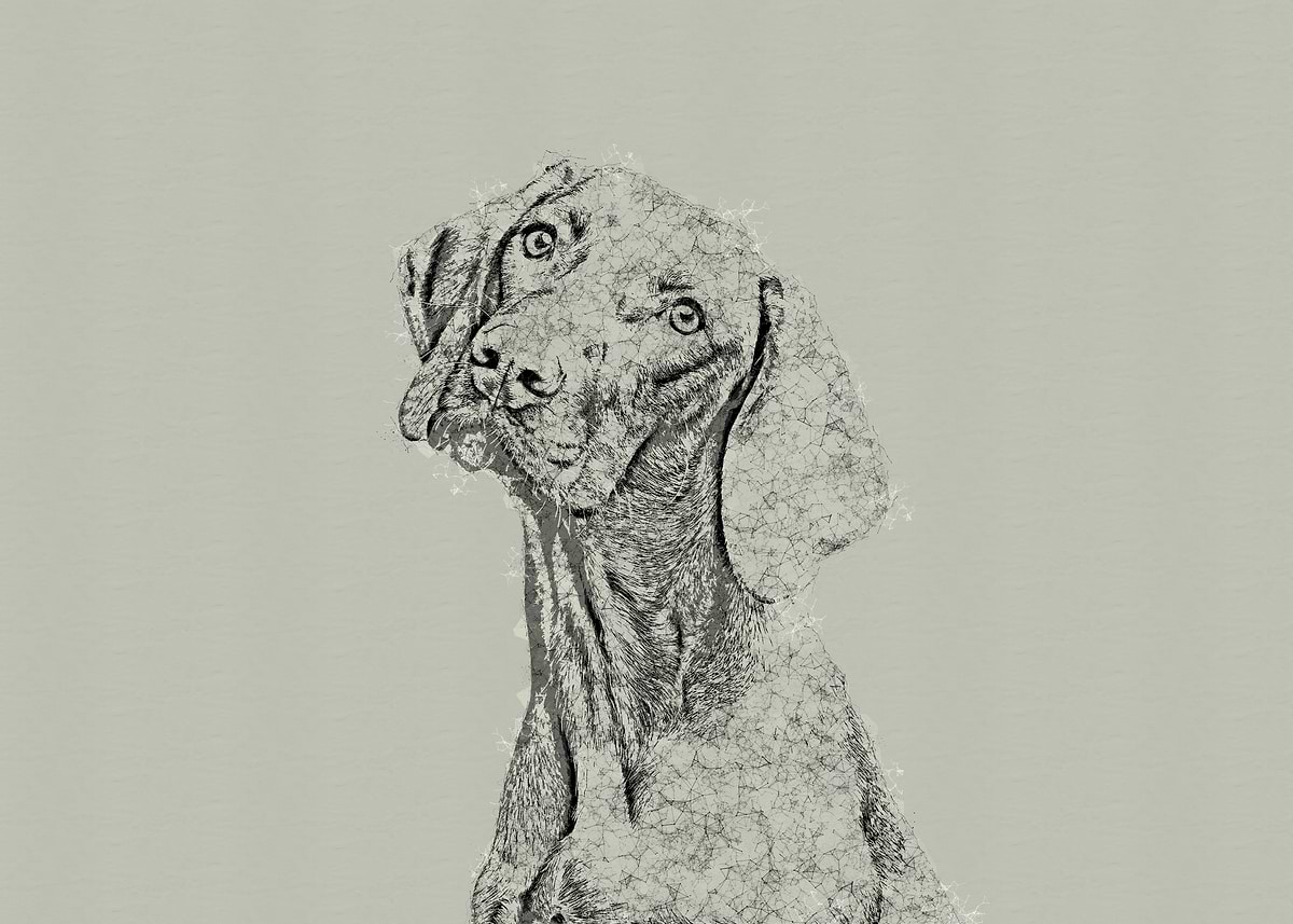 'Dog' Poster, picture, metal print, paint by 4T4 Design Studio | Displate