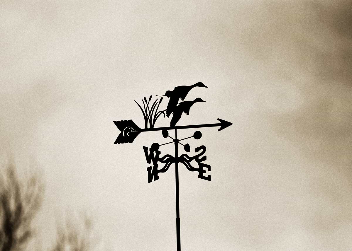 'Weathercock' Poster, picture, metal print, paint by Daniel Gaudin ...