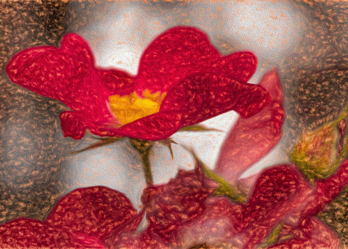 'Cosmic Rose of Sharon' Poster, picture, metal print, paint by Joyce ...