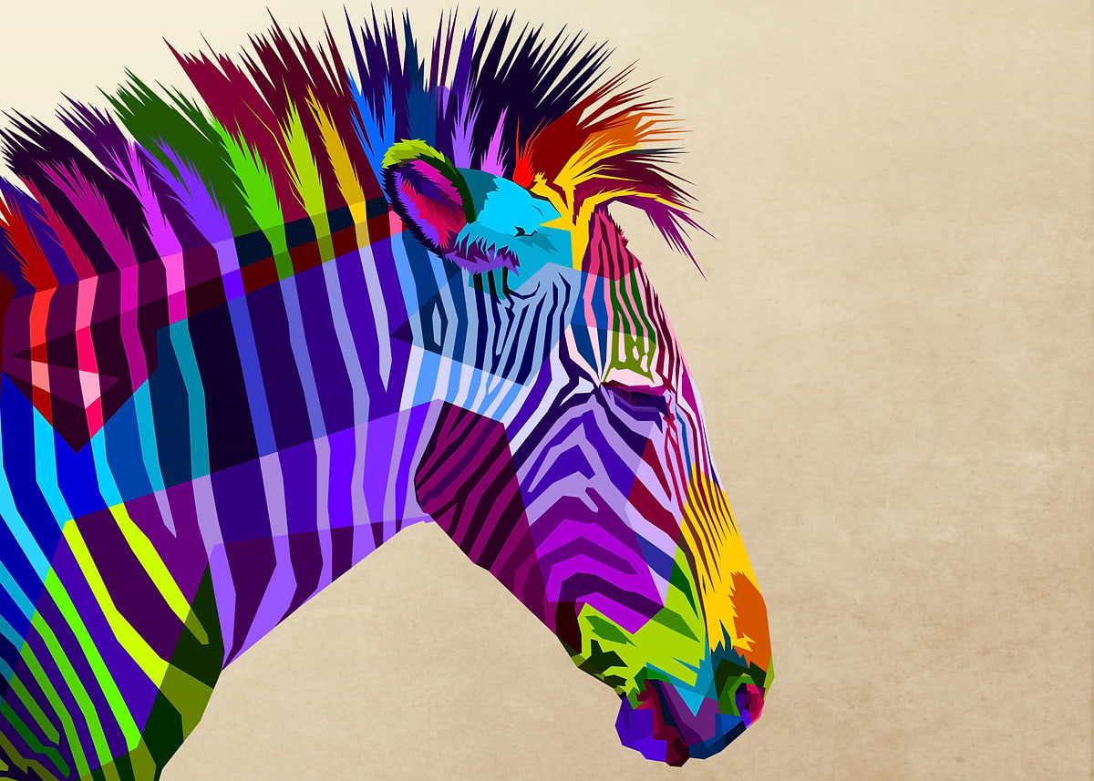 'colorful zebra isolated' Poster, picture, metal print, paint by peri ...