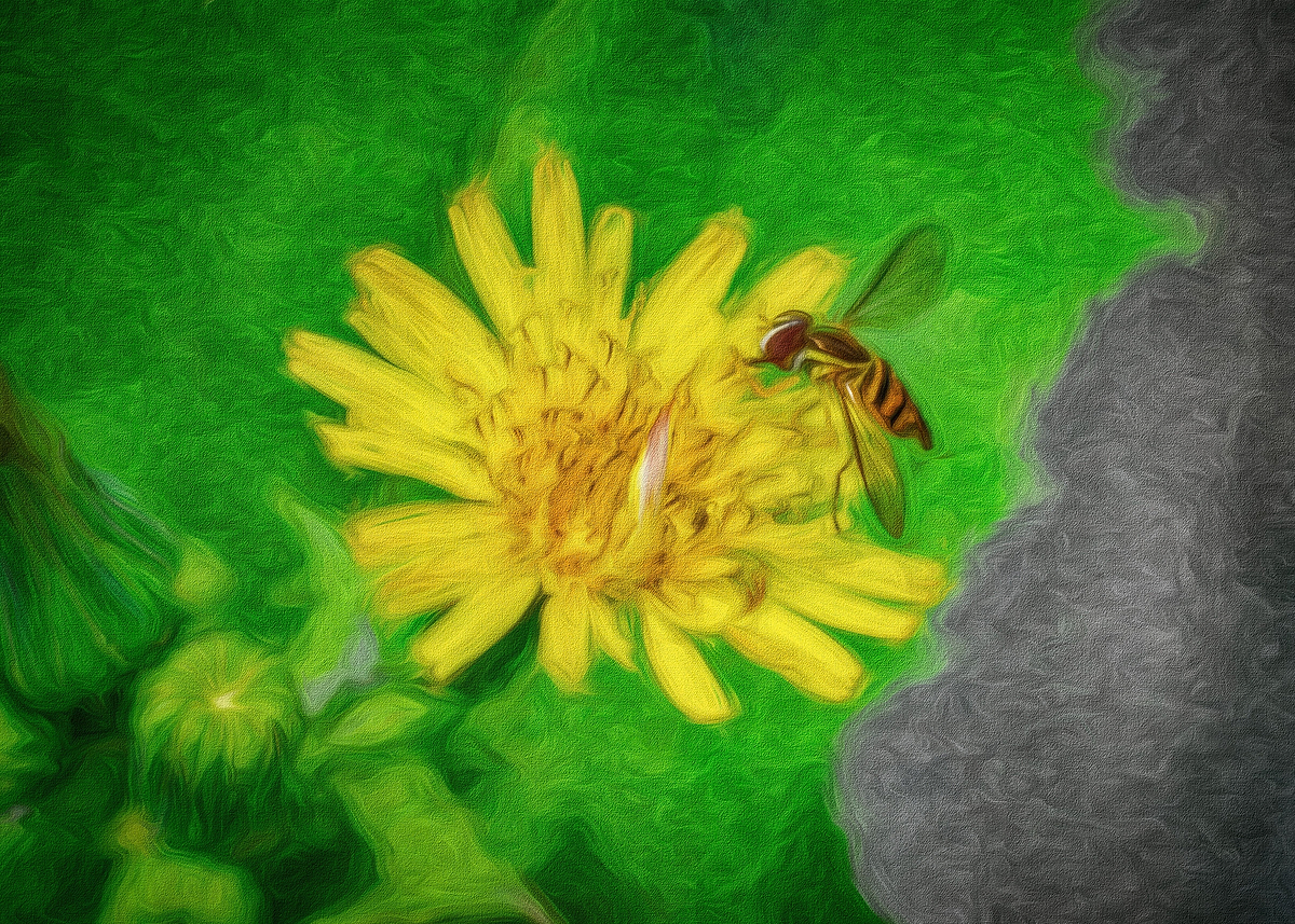 'Tiny Bee' Poster, picture, metal print, paint by Joyce Steele | Displate