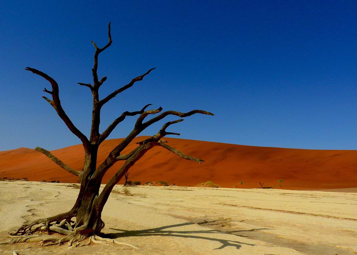 'Namibia Deadvlei' Poster, picture, metal print, paint by Marco Sanchez ...