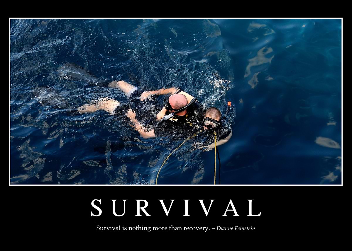 'Survival Motivational' Poster, picture, metal print, paint by ...
