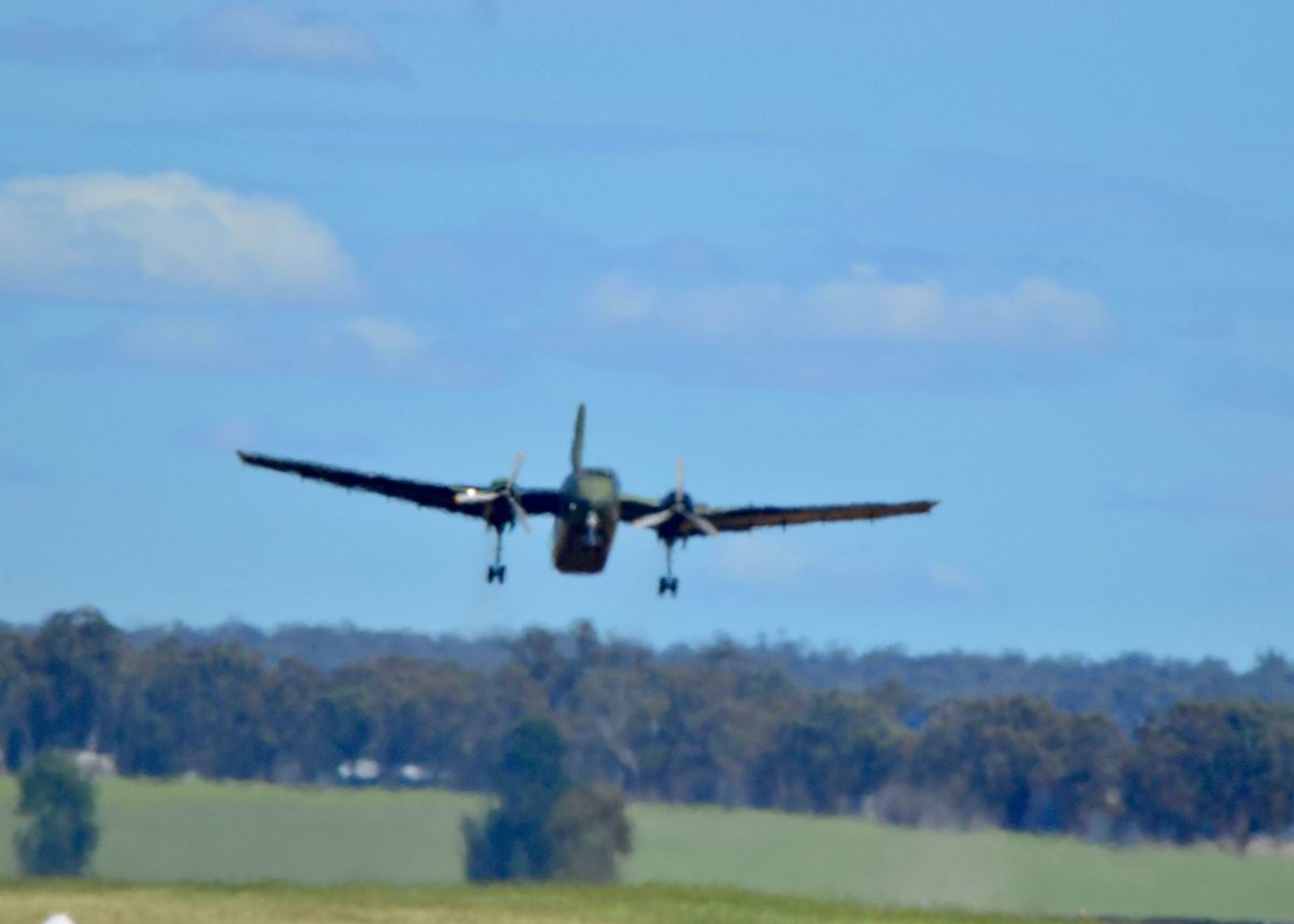 'Flying High' Poster, picture, metal print, paint by Tina Day | Displate