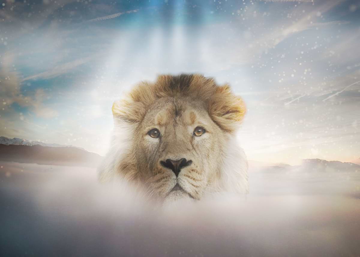 'king lion' Poster, picture, metal print, paint by monai supsinkirati ...