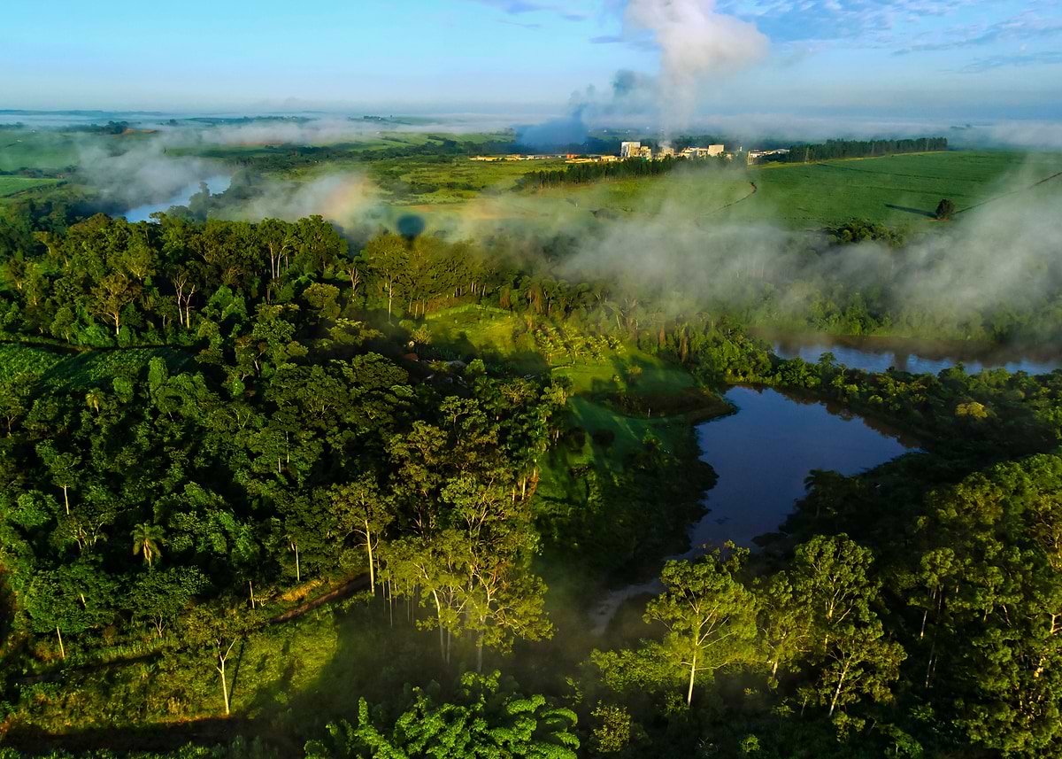 'Baloon Map' Poster, picture, metal print, paint by Jonathan Wilkins ...
