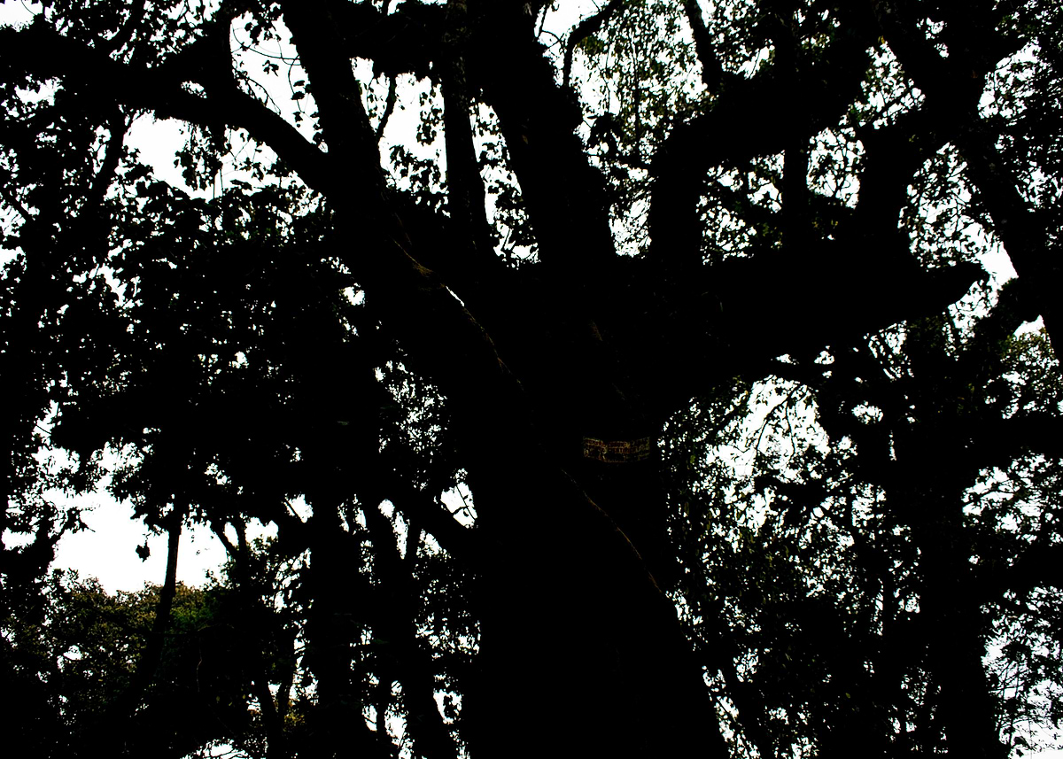 'Human Eternity 5' Poster, picture, metal print, paint by Christian ...