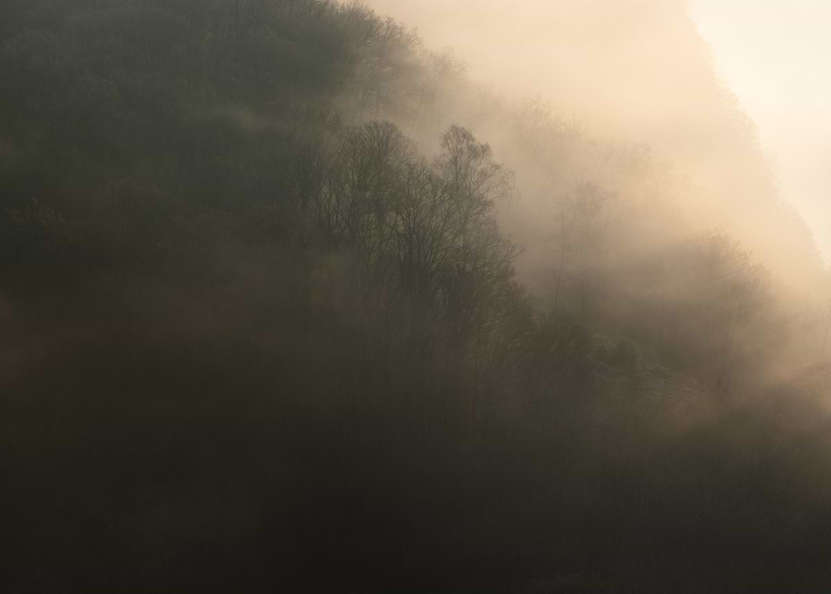 'Breakthrough' Poster, picture, metal print, paint by Dalibro | Displate