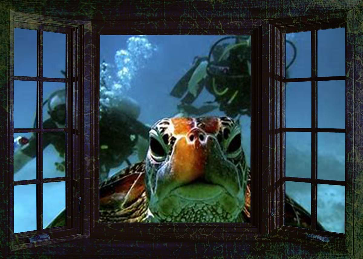 'The Window Shopper' Poster, picture, metal print, paint by ISAAC ...