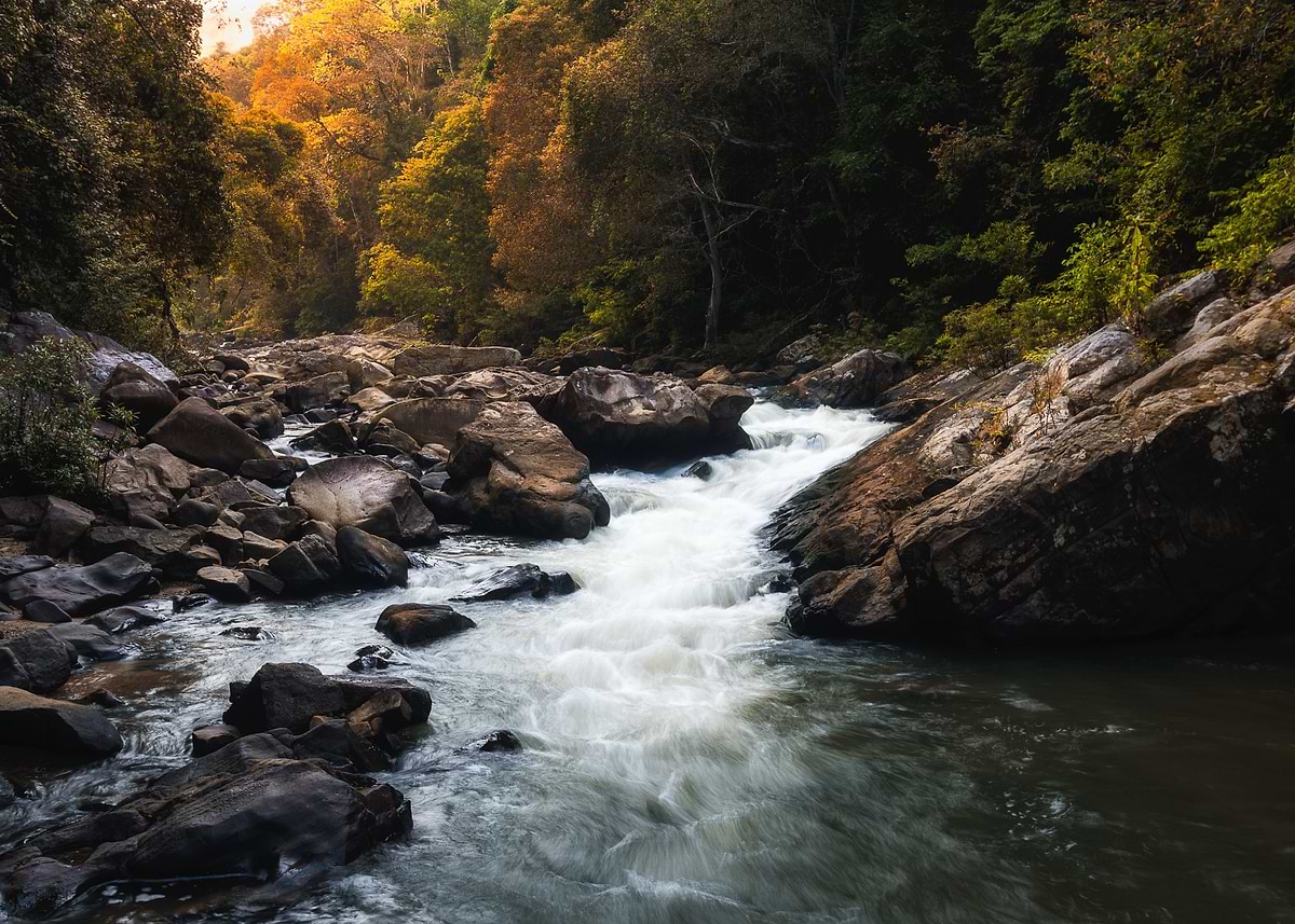 'Lubuk Yu v3' Poster, picture, metal print, paint by Syed Hafeez | Displate