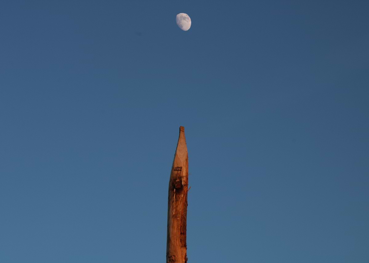 'Moonshot' Poster, picture, metal print, paint by Wiet | Displate