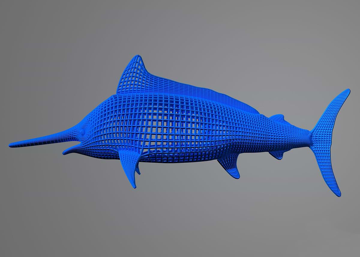 'SwordFish Wire Trophy' Poster, picture, metal print, paint by Wired ...