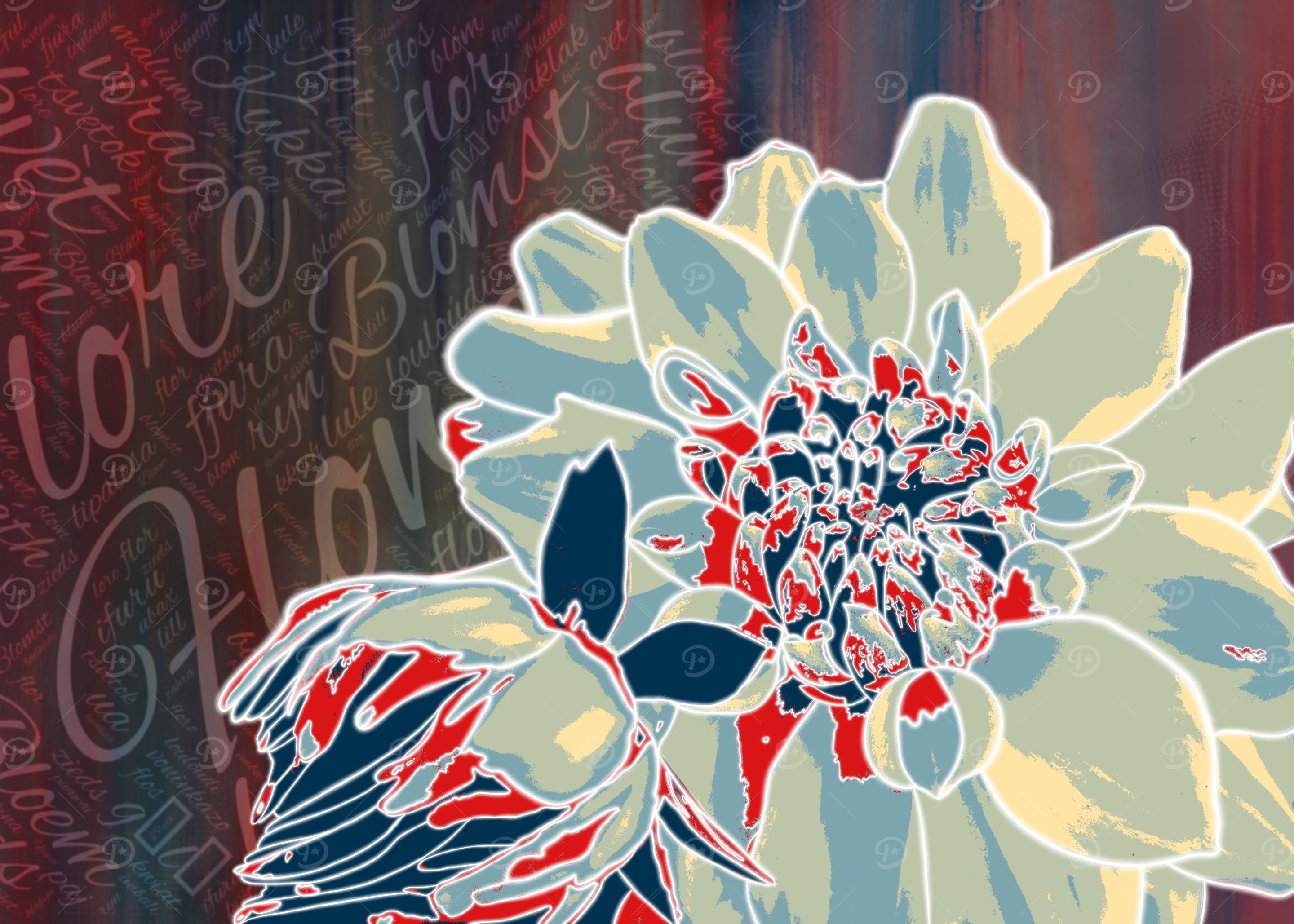 'Flower 8 Dahlia 4' Poster, picture, metal print, paint by Daniel ...