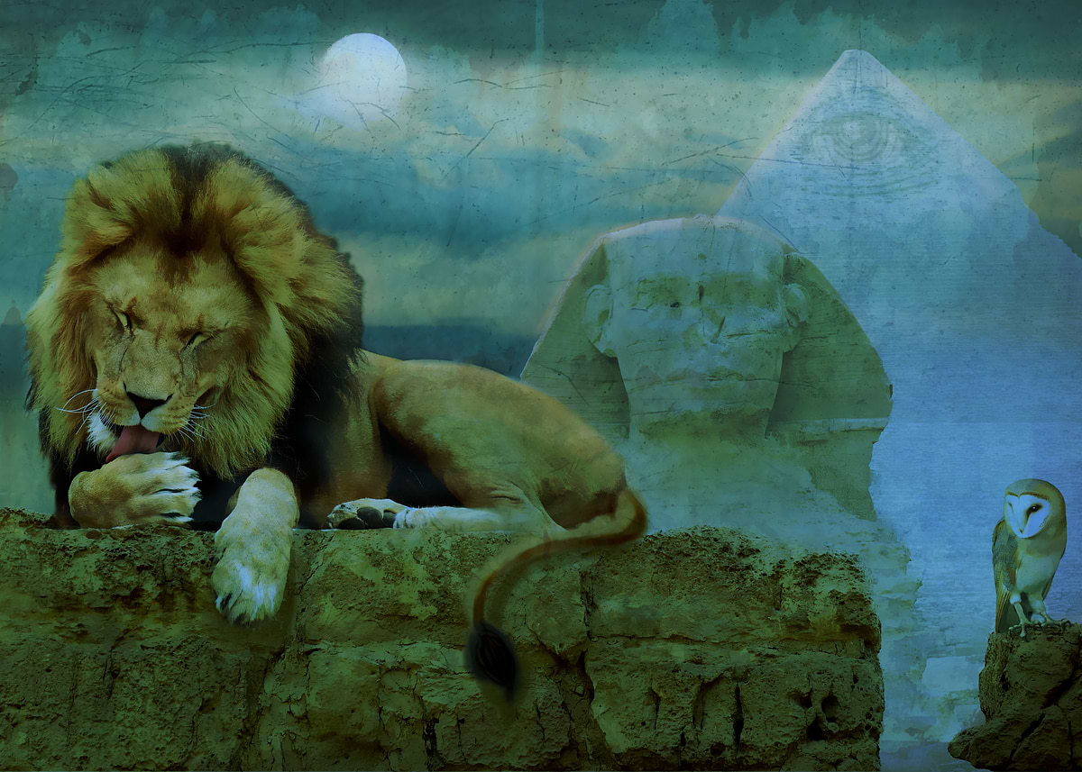 'Lion Owl and The Sphinx' Poster, picture, metal print, paint by Mudge ...