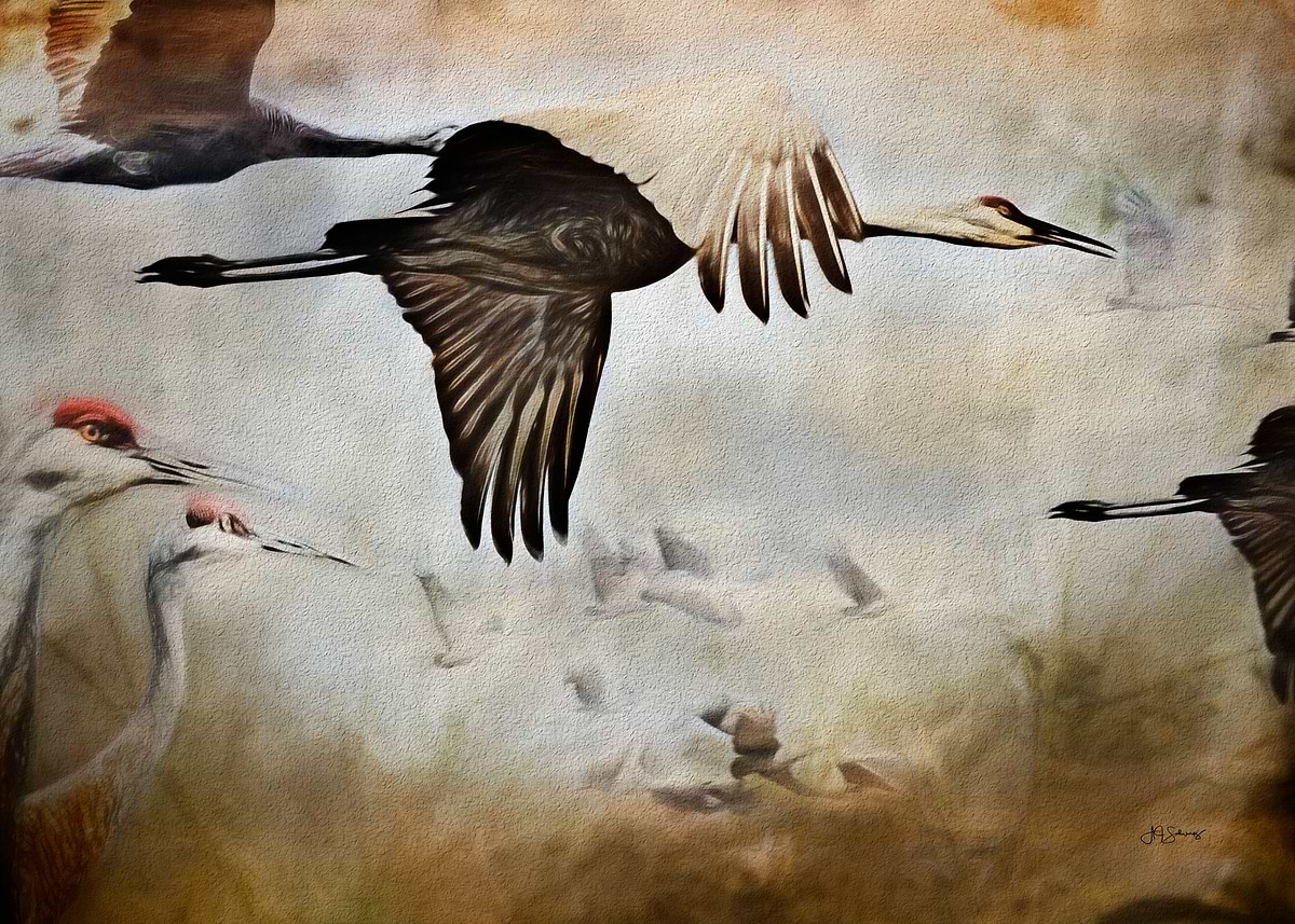 'Cranes in Flight' Poster, picture, metal print, paint by Allyson ...