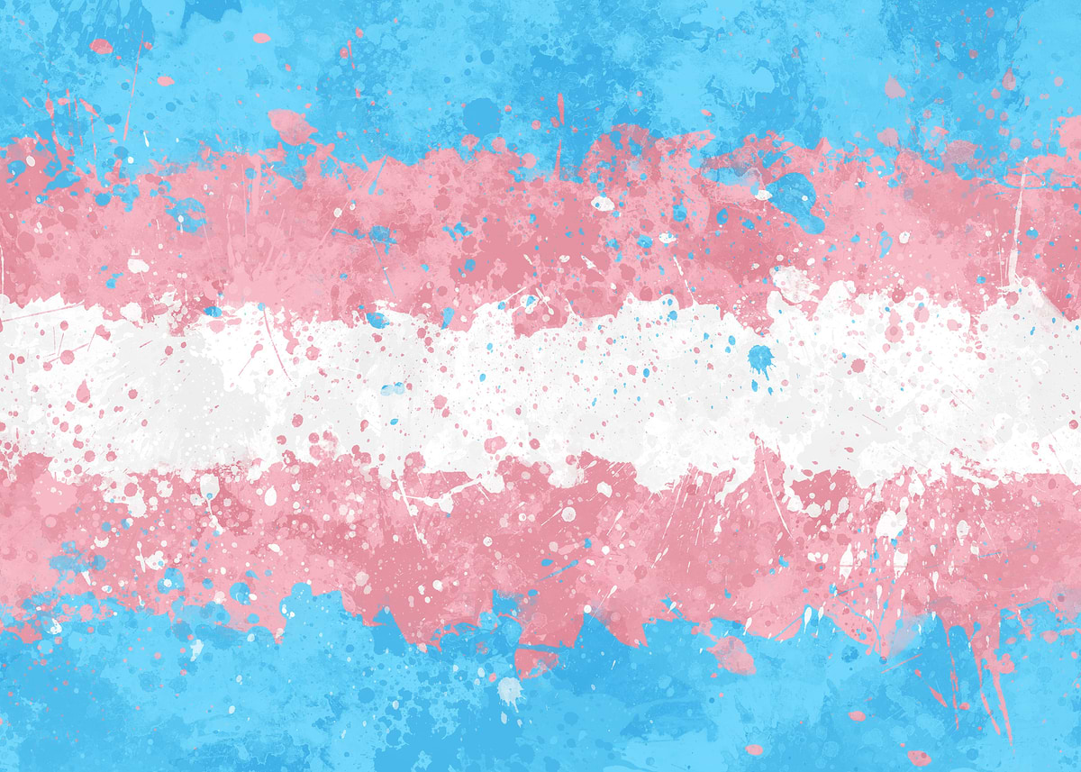 'Trans Flag Grunge' Poster, picture, metal print, paint by Garyck ...