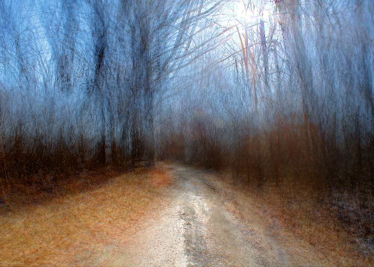 'Soft Ground' Poster, picture, metal print, paint by The Evening | Displate