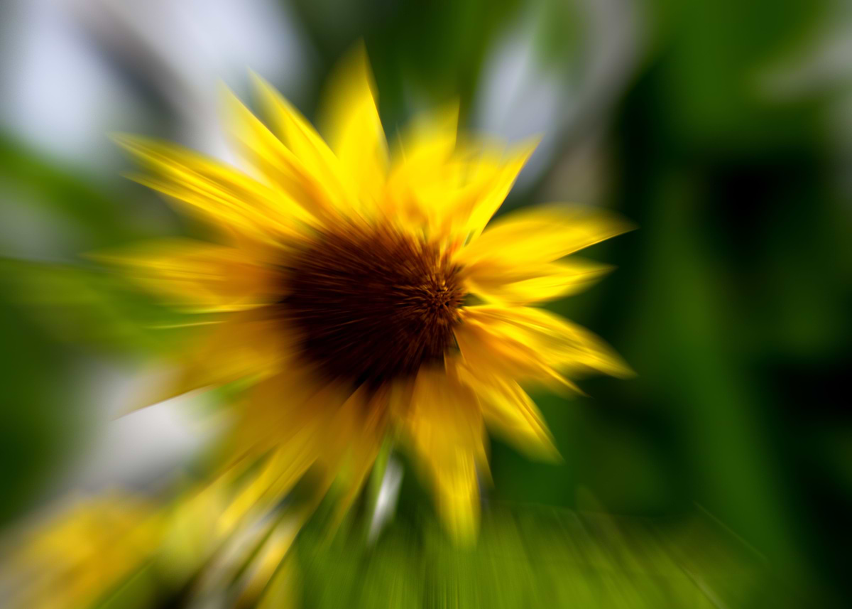 'Sun in love' Poster, picture, metal print, paint by Michael Naegele ...