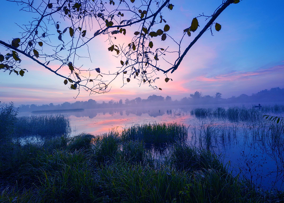 'Early Morning Dawn Over Th' Poster, picture, metal print, paint by ...