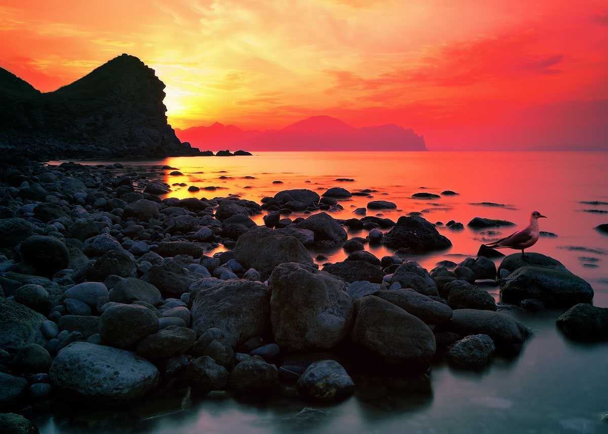 'Sunset Over Rocky Coast' Poster, picture, metal print, paint by ...