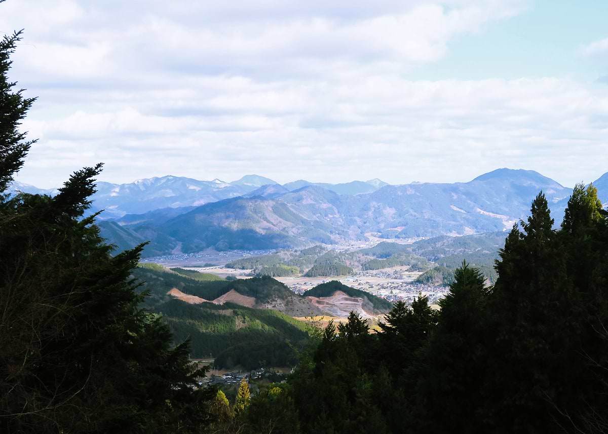 'Takeda' Poster, picture, metal print, paint by Bon Zaï | Displate