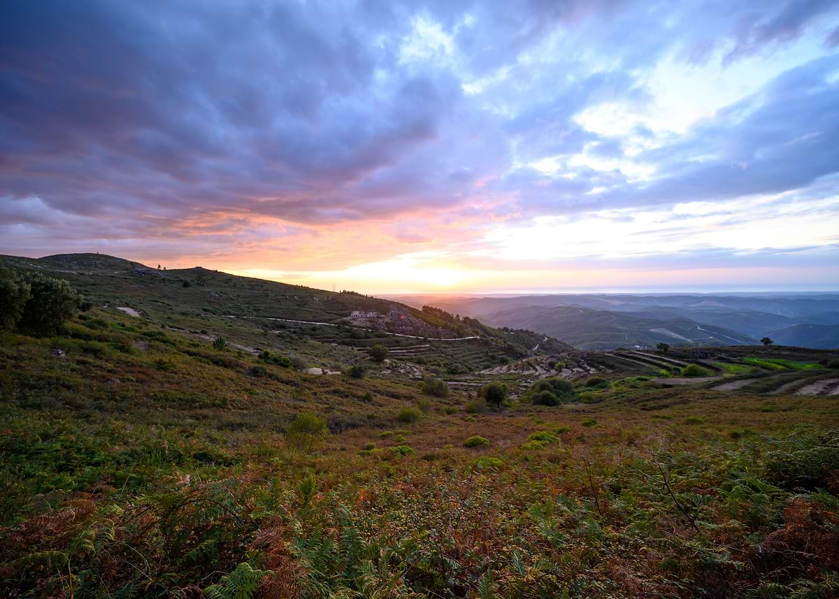 'sunset in portugal' Poster, picture, metal print, paint by Christian ...