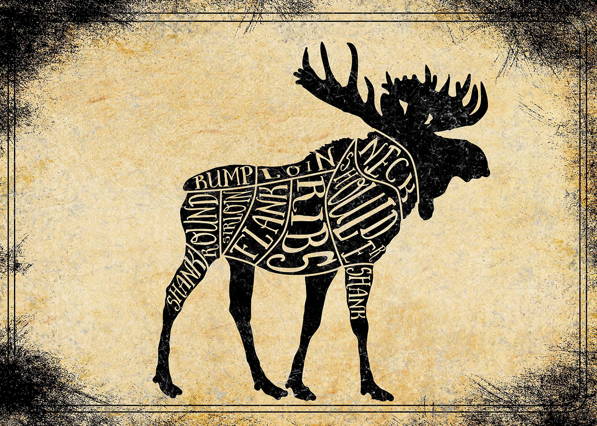 'Moose butcher cuts art' Poster, picture, metal print, paint by ...
