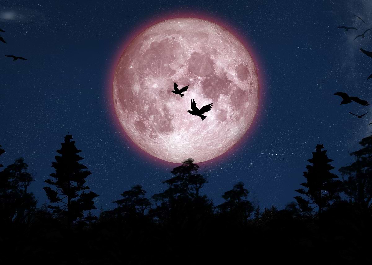 'Red moon with birds' Poster, picture, metal print, paint by Donma Art ...