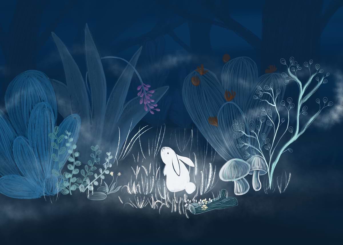 'a missing rabbit' Poster, picture, metal print, paint by seek find ...