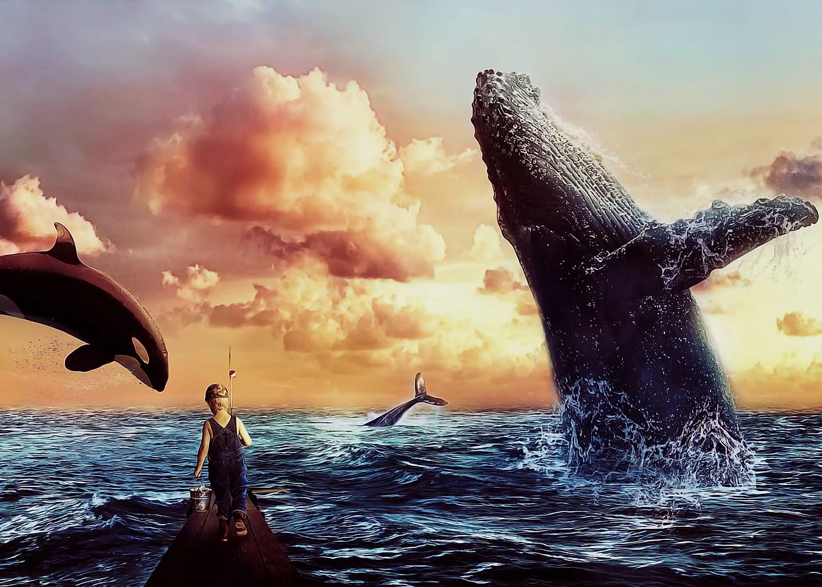 'Boy and whales' Poster, picture, metal print, paint by Donma Art ...