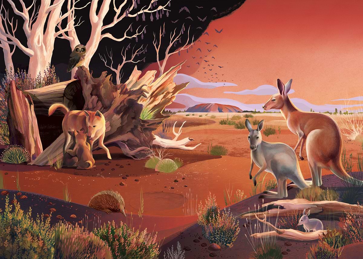'Outback' Poster, picture, metal print, paint by Cornelia Li | Displate