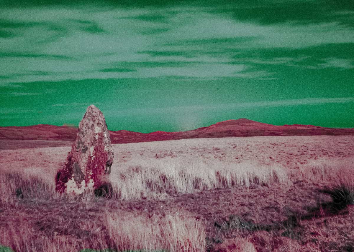 'Duotone Infrared' Poster, picture, metal print, paint by DP ...