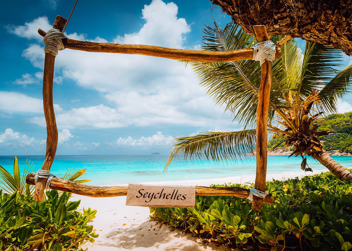 'Amazing Tropical Scene Wit' Poster, picture, metal print, paint by ...