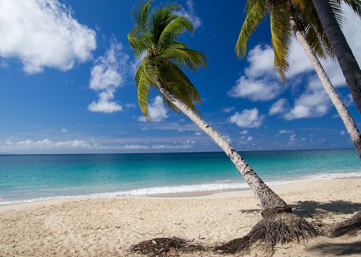 'Tropical Sandy Beach' Poster, picture, metal print, paint by Tanya ...