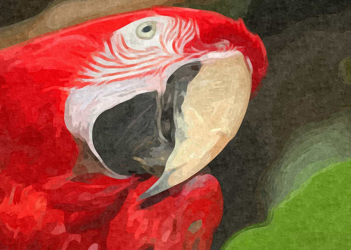 'Red Parrot Portrait' Poster, picture, metal print, paint by Paul ...