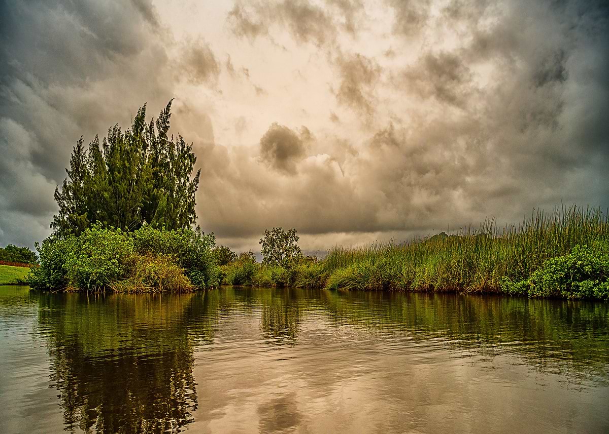 'Nature' Poster, picture, metal print, paint by hartmanbonner 127634 ...