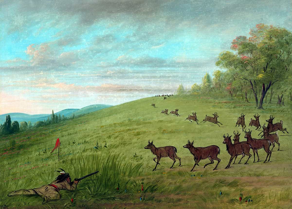 'Antelope Shooting ' Poster, picture, metal print, paint by Jon Baran ...