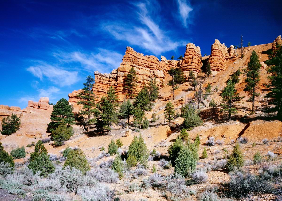 'Utah Red Canyon' Poster, picture, metal print, paint by tony4urban ...