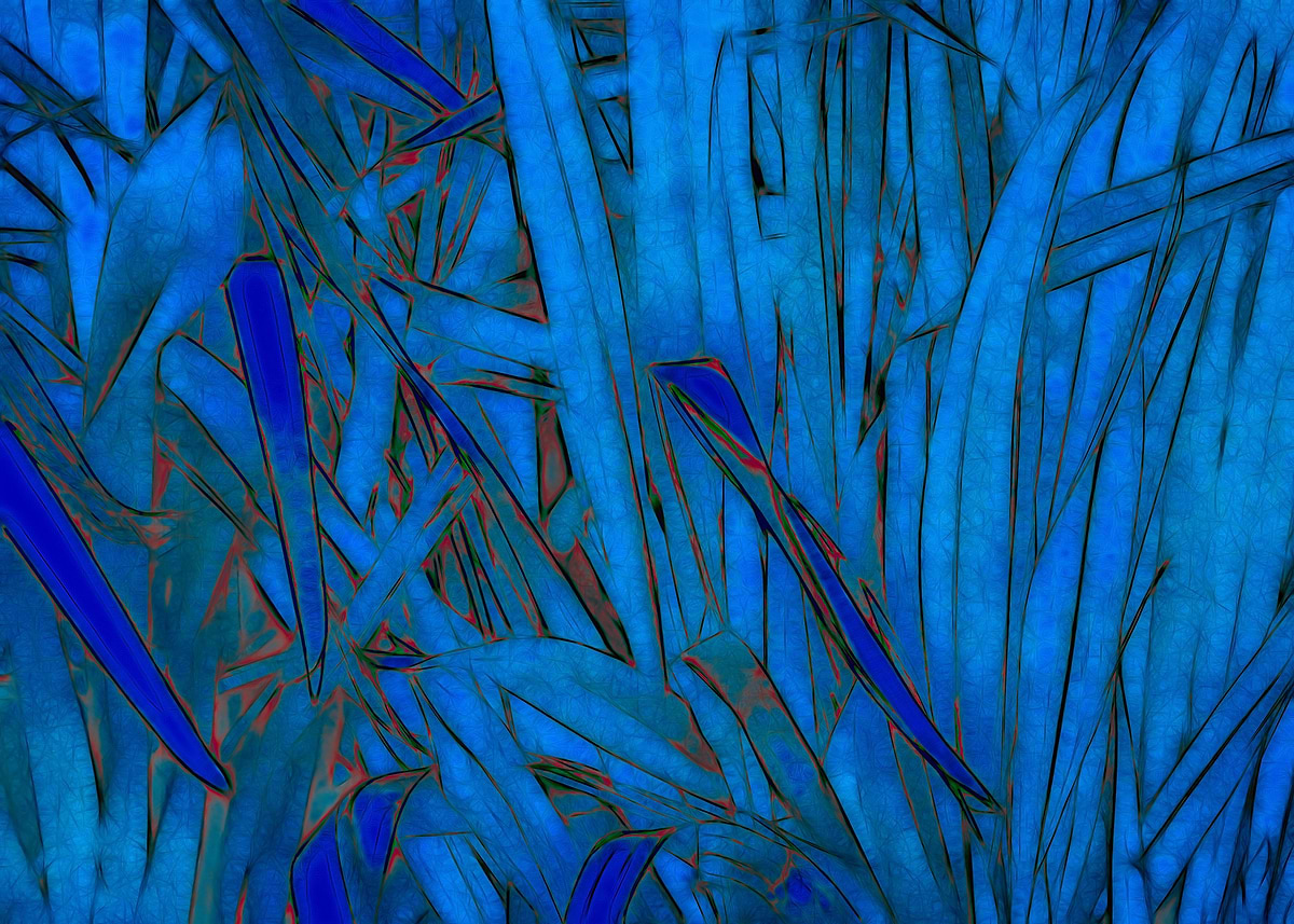 'Reeds Blue Red' Poster, picture, metal print, paint by Catchavista ...