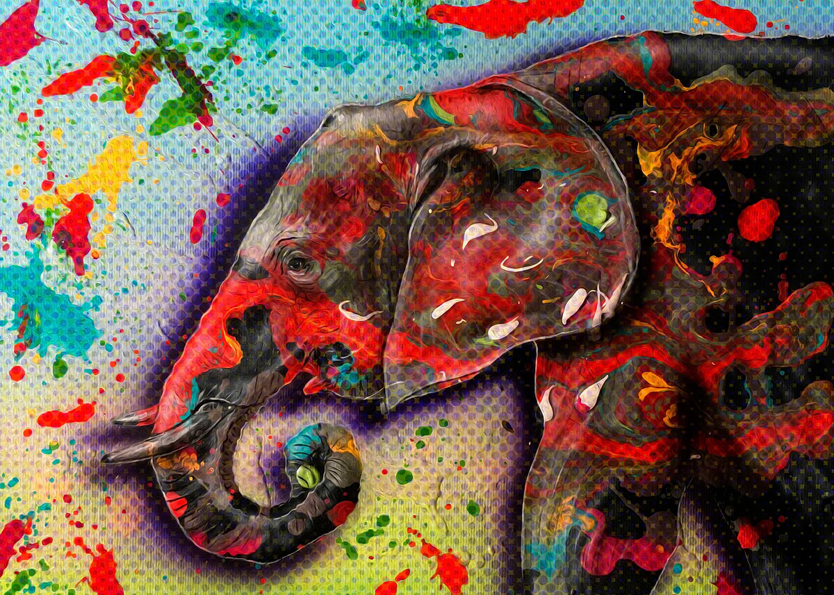 'Elephant in red' Poster, picture, metal print, paint by Ricardo Maya ...