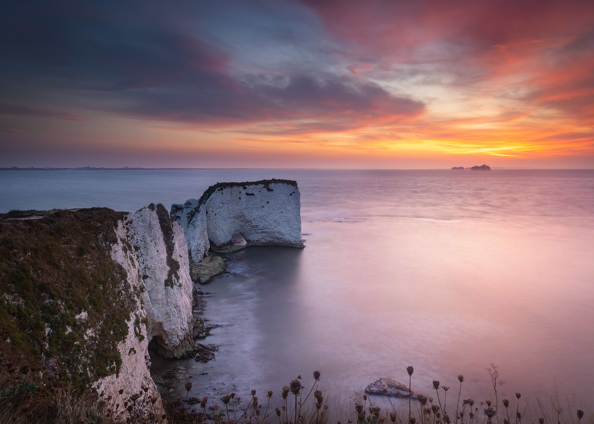 'Old Harry Wow' Poster, picture, metal print, paint by Scott Lovegrove ...