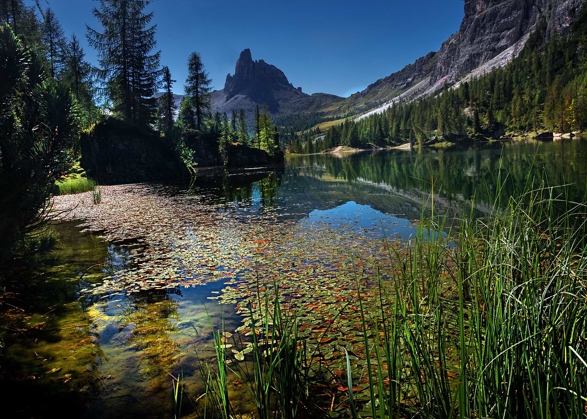'lake federa' Poster, picture, metal print, paint by alex neumayer ...