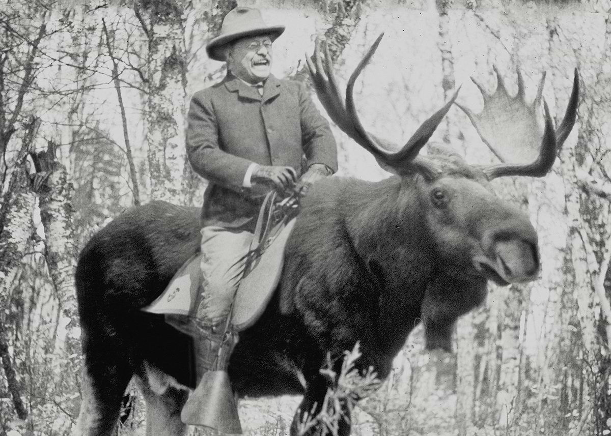 Roosevelt Riding A Moose