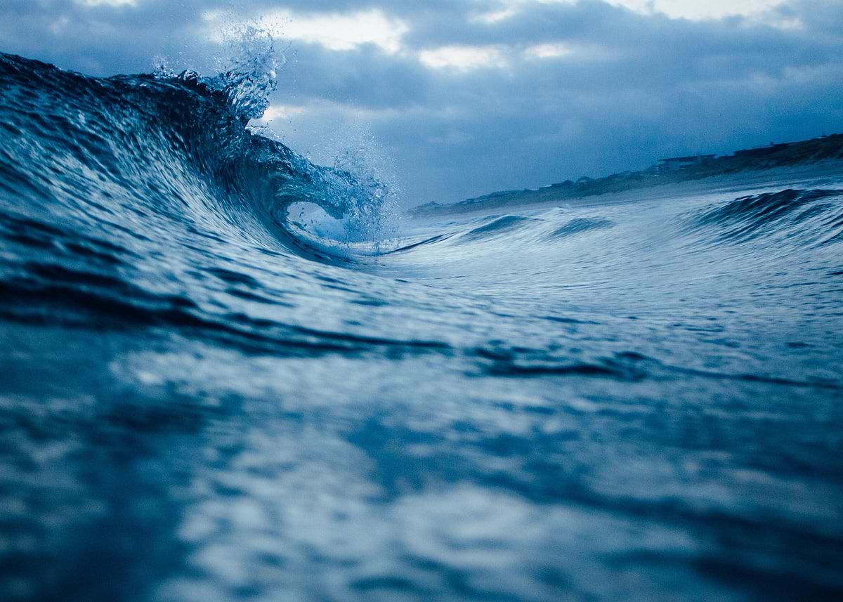 'sea and beach addicts' Poster, picture, metal print, paint by Oizy ...